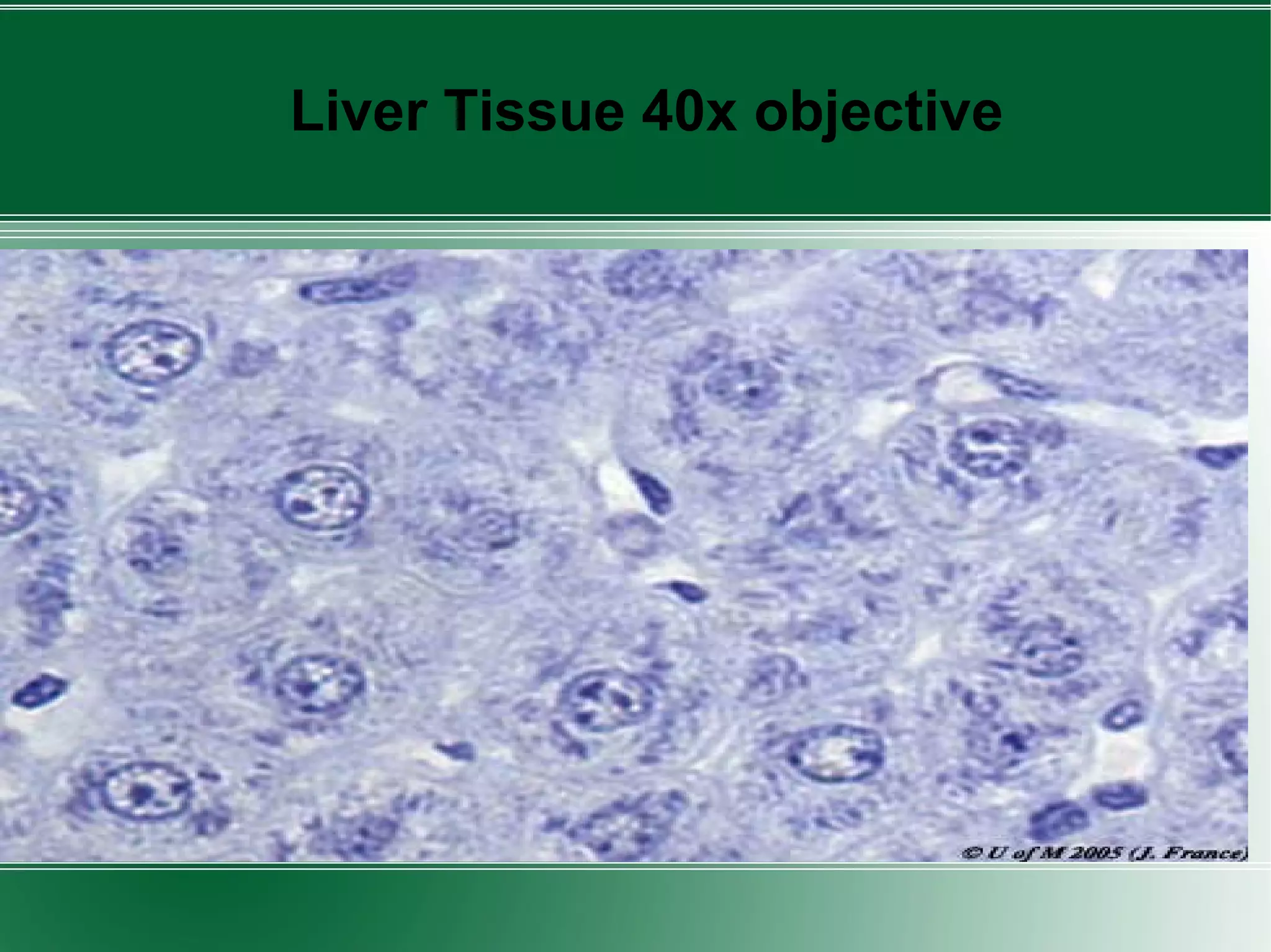 Slide1 identifying cells and cells structures u1.1 9thsci | PPT