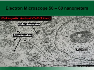 Slide1 identifying cells and cells structures u1.1 9thsci | PPT