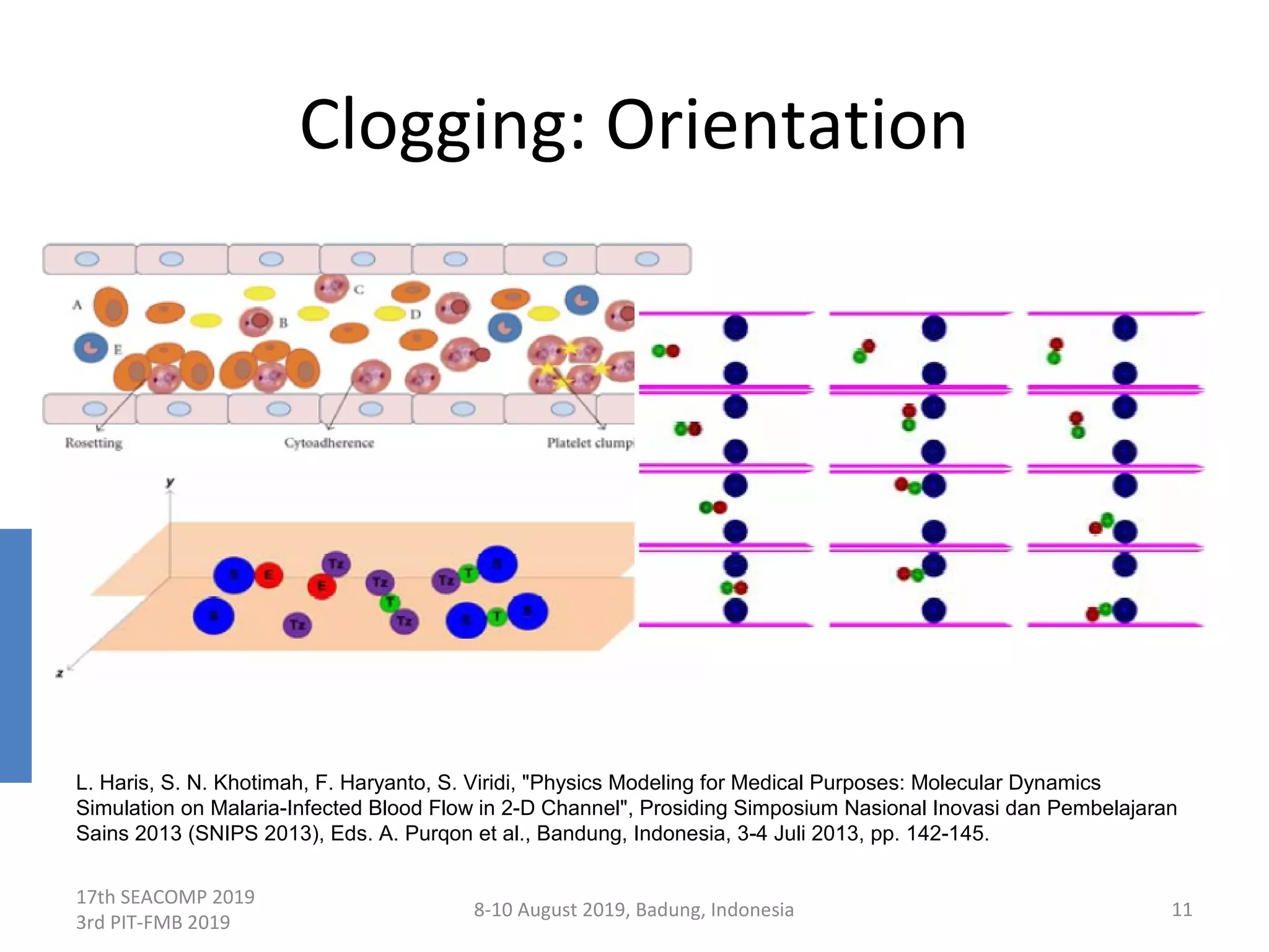 Simulation of Blood Cell Separation System Based on Inertia and ...