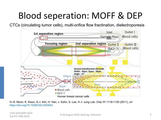 Simulation of Blood Cell Separation System Based on Inertia and ...