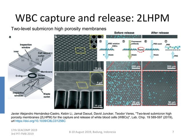 Simulation of Blood Cell Separation System Based on Inertia and ...