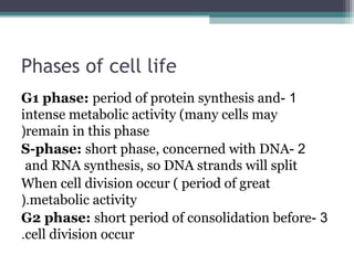 Slide24 anticancer agents | PPT