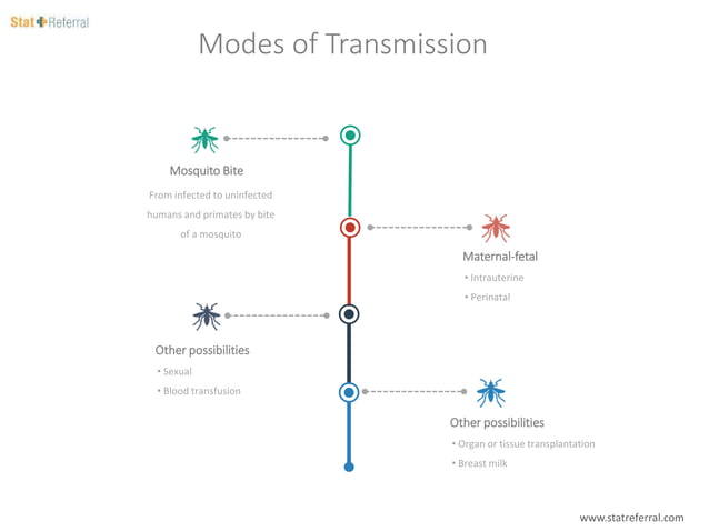 Modes of Transmission | PPT