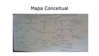 Atividade - Mapa Conceitual | PPTX