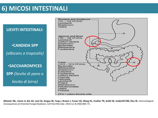 ASSE INTESTINO-CERVELLO-VAGINA. Dott. Davide Iozzi | PPT