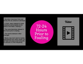 72-24 Hours | PPT