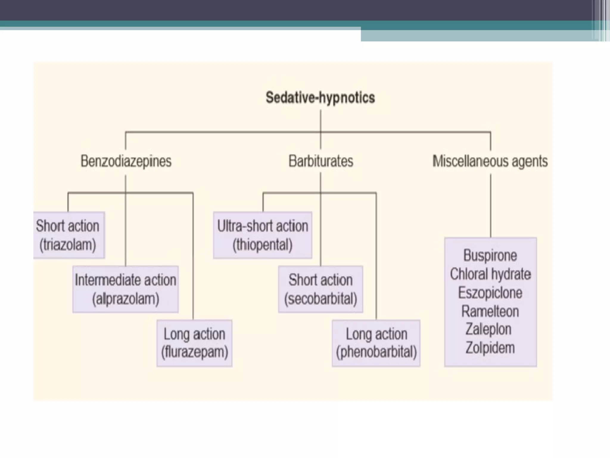 Slide7 sedative hypnotics | PPT