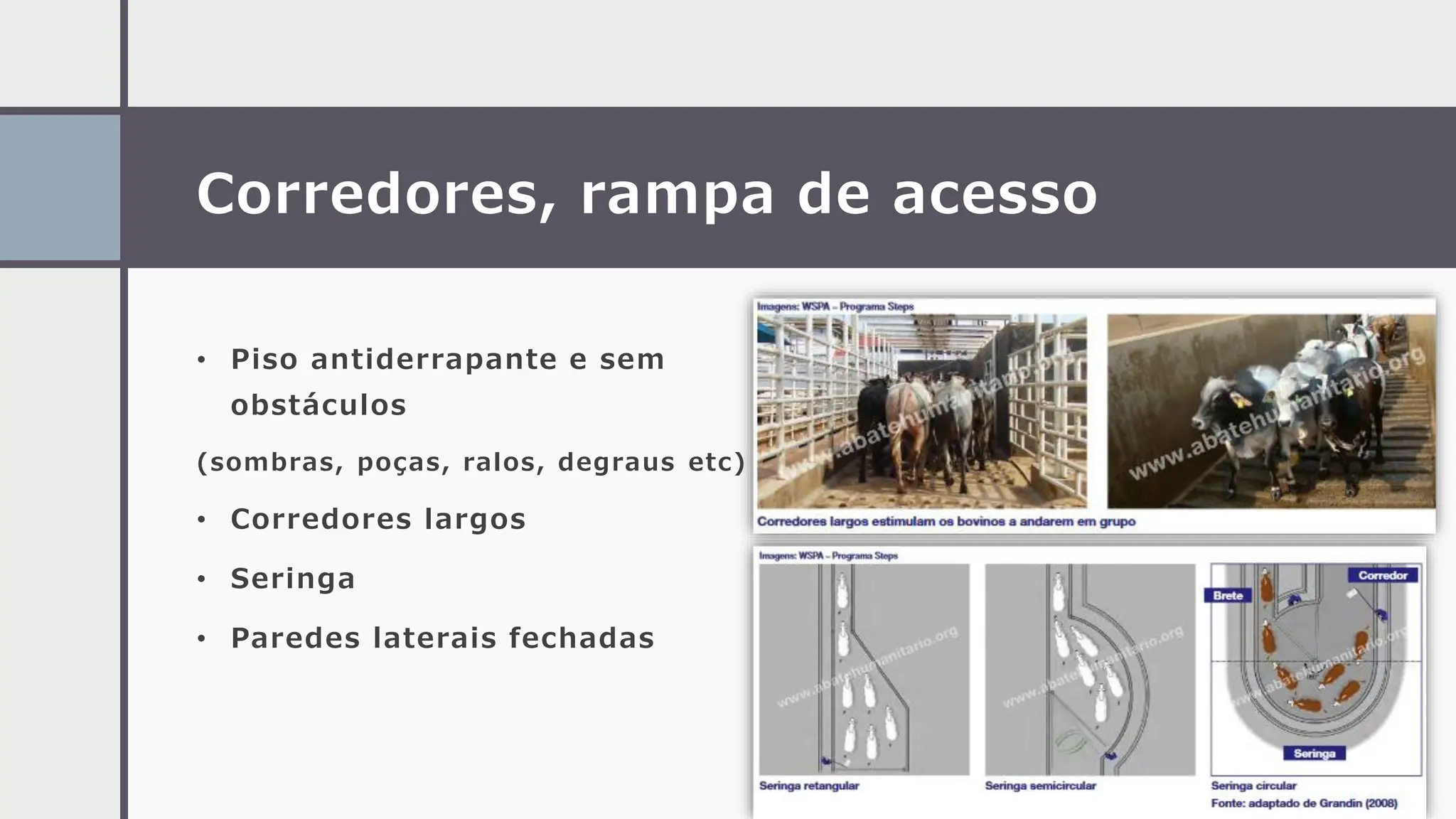 Fluxograma abate de bovinos e suas etapas. PDF | PDF
