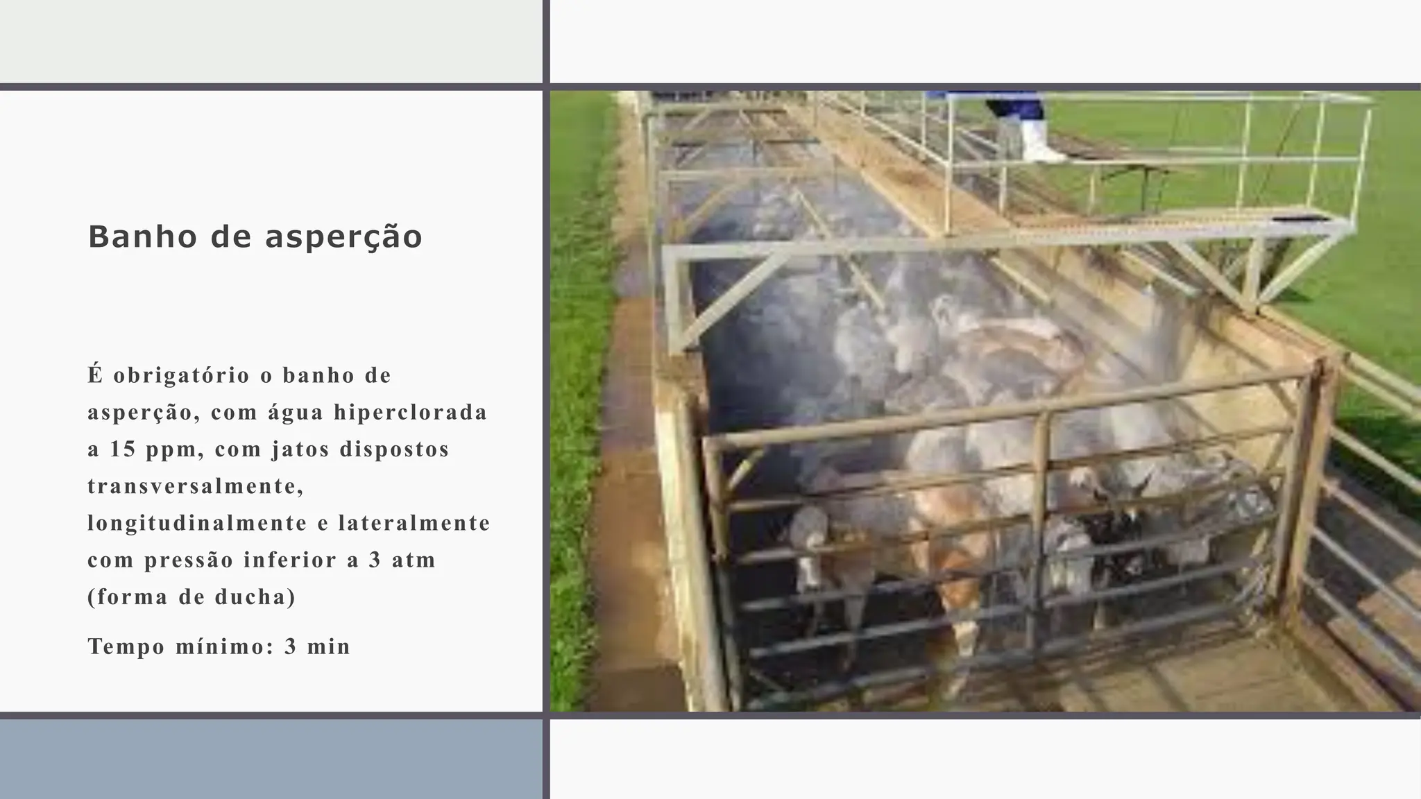 Fluxograma abate de bovinos e suas etapas. PDF | PDF