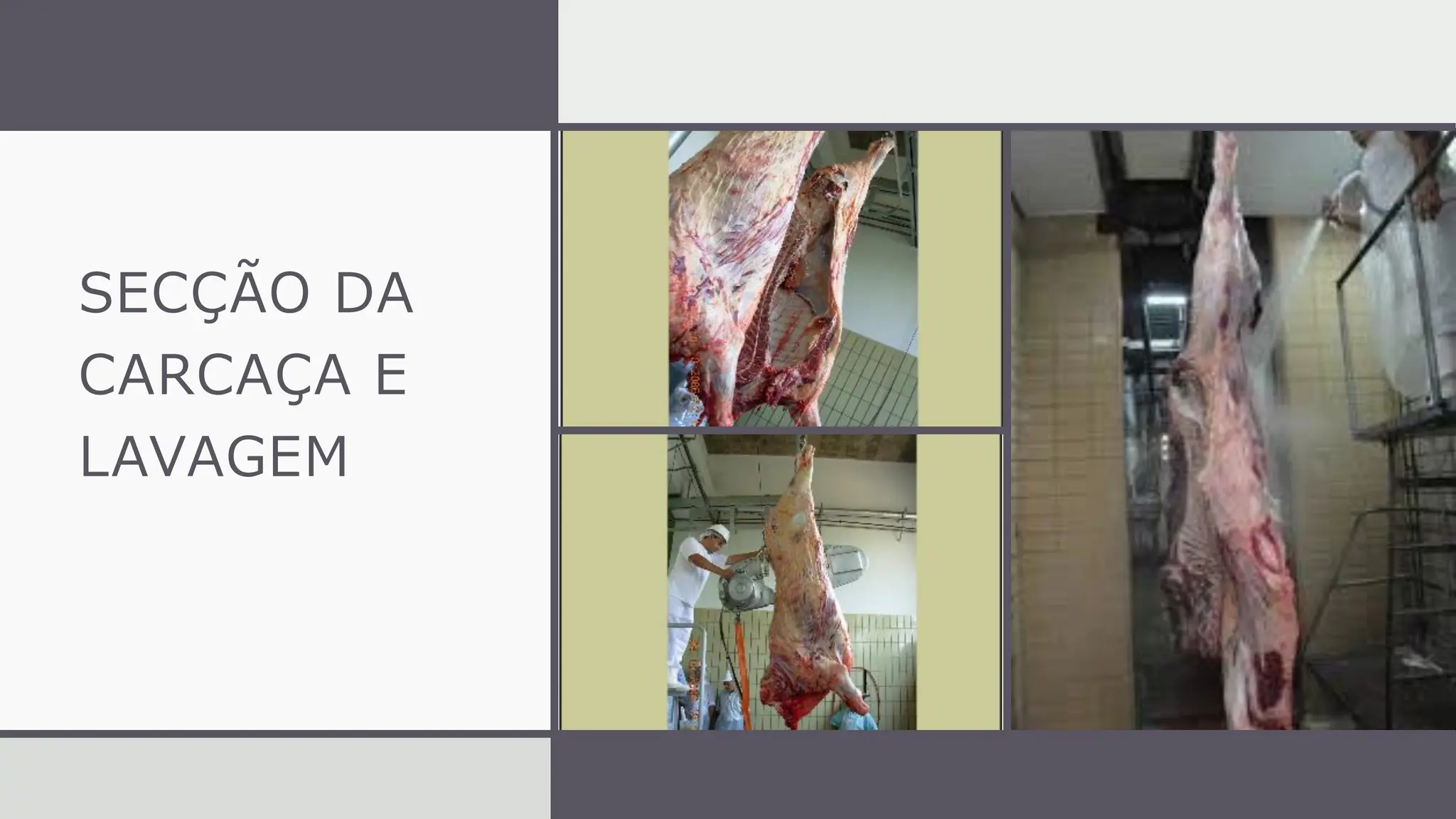 Fluxograma abate de bovinos e suas etapas. PDF | PDF