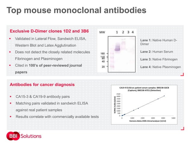 BBI Solutions - Antibodies | PPT