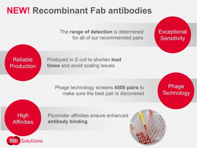 BBI Solutions - Antibodies | PDF