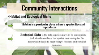 COMMUNITY AND ECOSYSTEM ECOLOGY | PDF