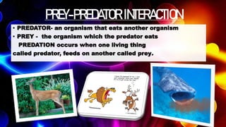 COMMUNITY AND ECOSYSTEM ECOLOGY | PDF