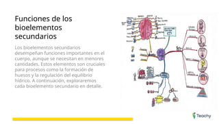 Presentación Bioelementos. Tipos e importancia | PPTX