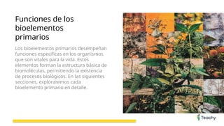Presentación Bioelementos. Tipos e importancia | PPTX