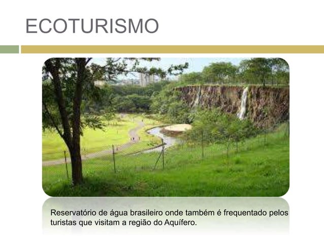 Slide Bioma Pampa | PPTX