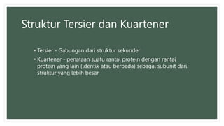 slide biomolekuler protein dan asam amino.pptx