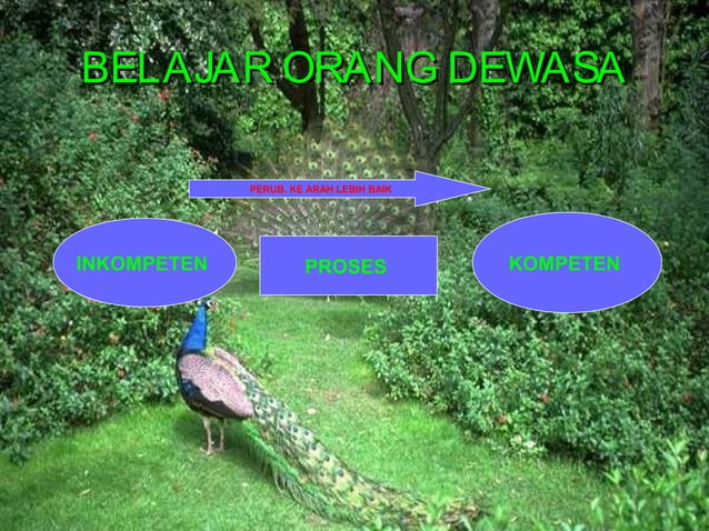 Slide blc lengkap | PPT