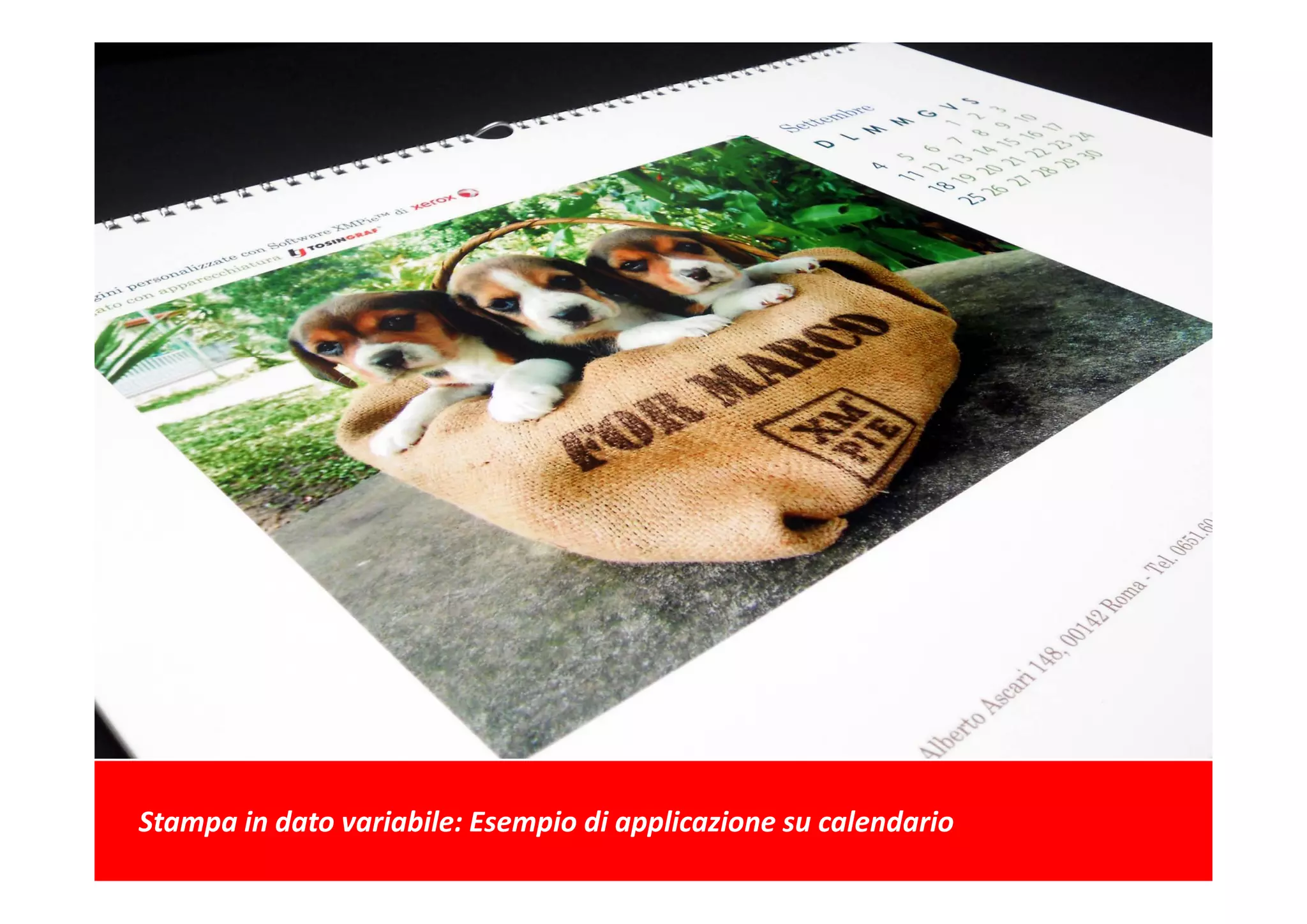 Slide calendario in dato variabile | PDF