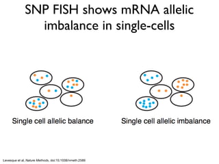 Visualizing SNVs to quantify allele-specific expression in single cells ...