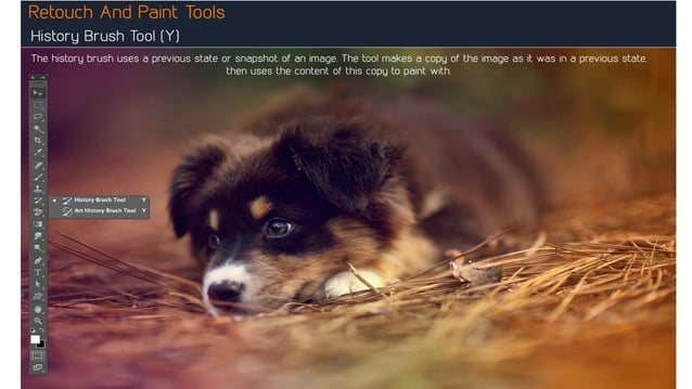Asas Adobe Photoshop - Slide crash course adobe | PPT