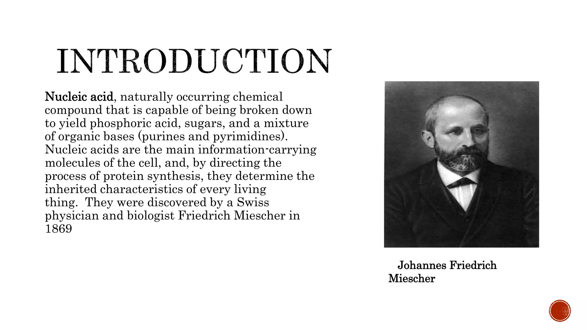 Nucleic Acids | PPTX