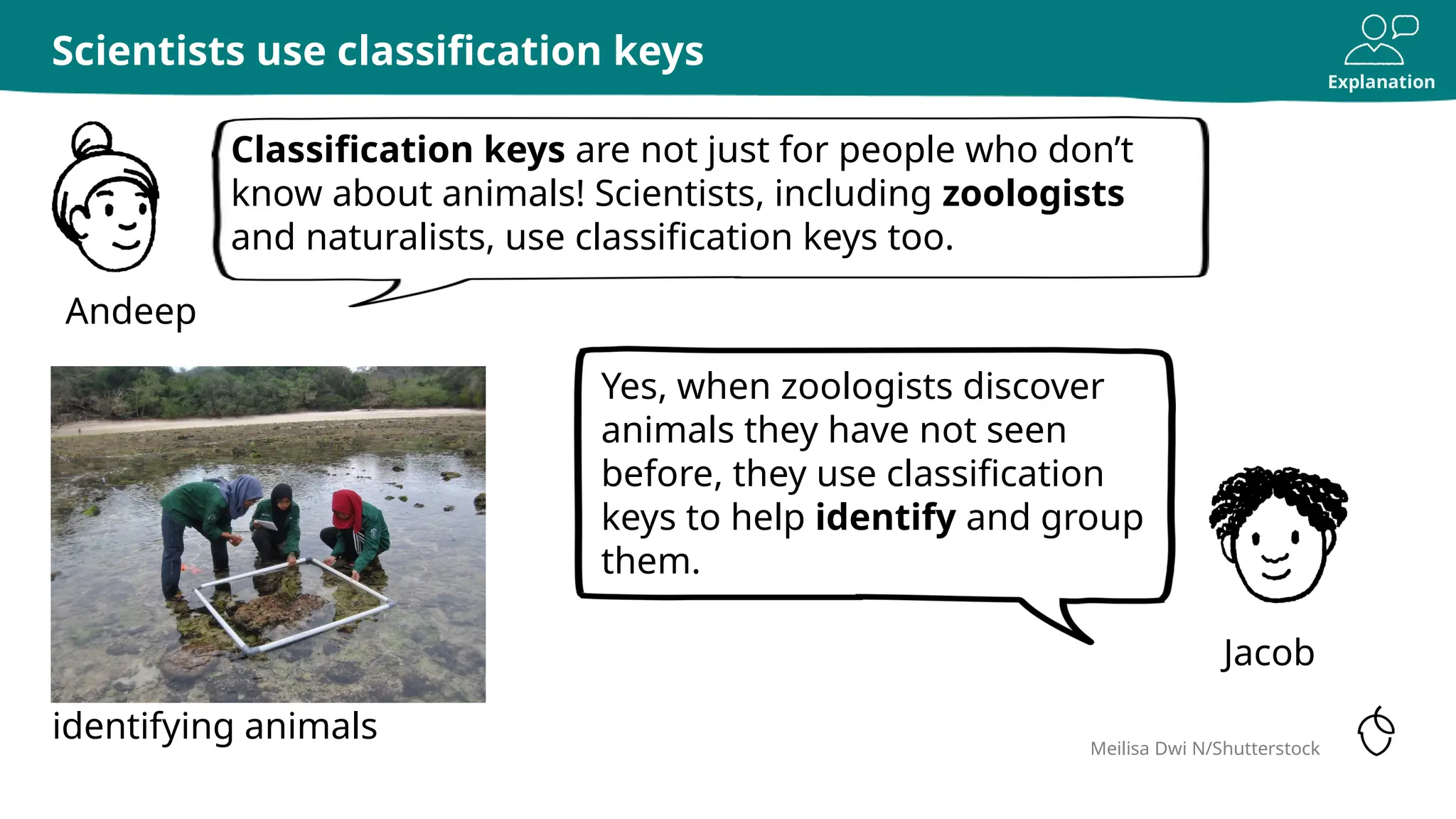 classification keys to identify animals - science | PPT