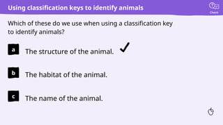 classification keys to identify animals - science | PPT