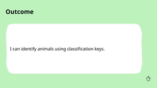 classification keys to identify animals - science | PPT