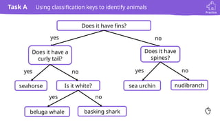 classification keys to identify animals - science | PPTX