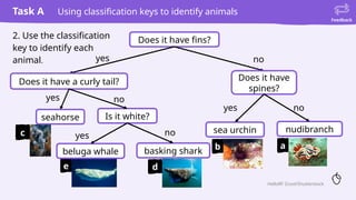 classification keys to identify animals - science | PPTX