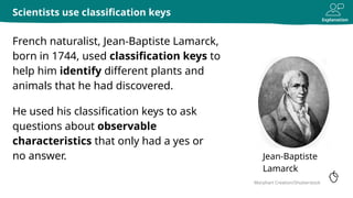 classification keys to identify animals - science | PPTX