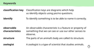 classification keys to identify animals - science | PPTX