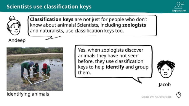 classification keys to identify animals - science | PPT