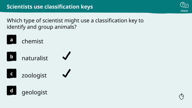 classification keys to identify animals - science | PPT
