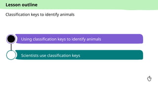 classification keys to identify animals - science | PPTX