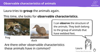 Grouping animals - science living things | PPT