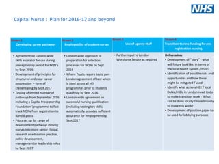 Slide deck Capital Nurse programme - Feb 2016 | PPTX | Business ...