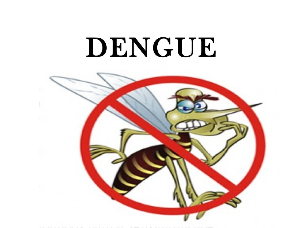 Slide Sobre A Dengue - RETOEDU