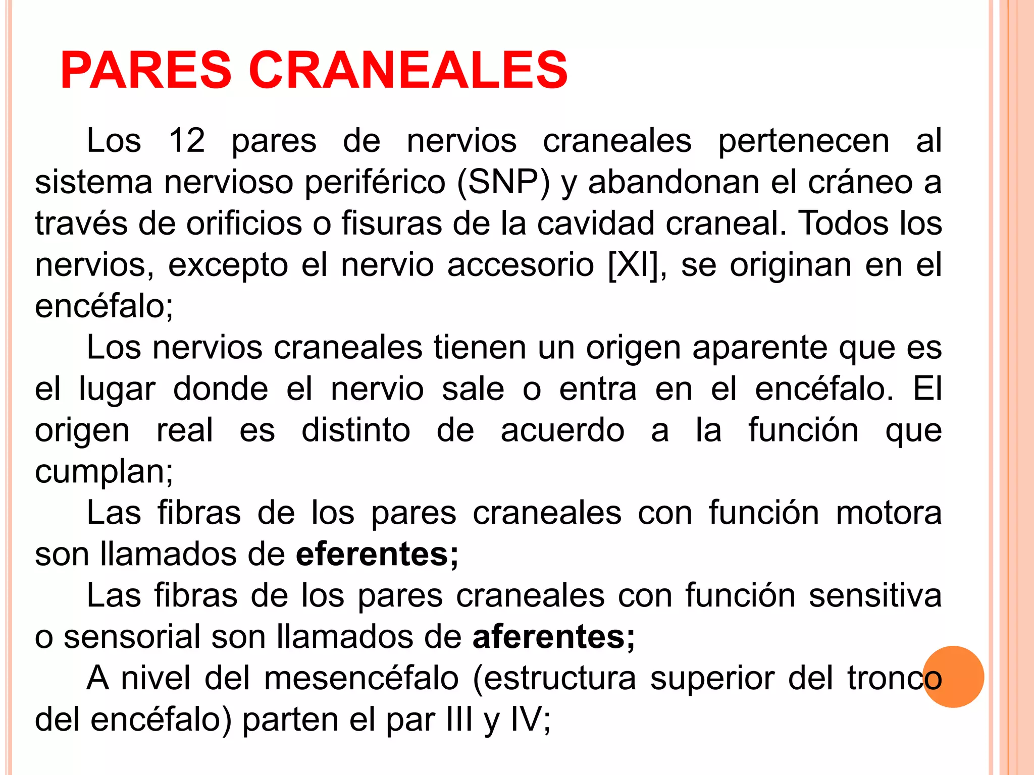 Pares Craneales | PPT