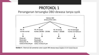 SLIDE DHF.pptx