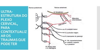 SLIDE DO TRAUMA DO PLEXO CERVICAL.pptx | Injuries | Diseases and Conditions