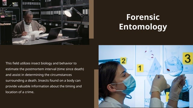 SlideEgg-64628-Forensic Science Google Slides Themes.pptx