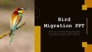 SlideEgg-703870-Bird Migration PPT Presentation.pptx