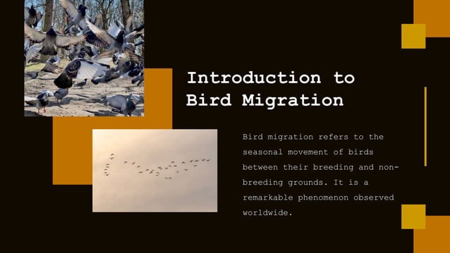 SlideEgg-703870-Bird Migration PPT Presentation.pptx