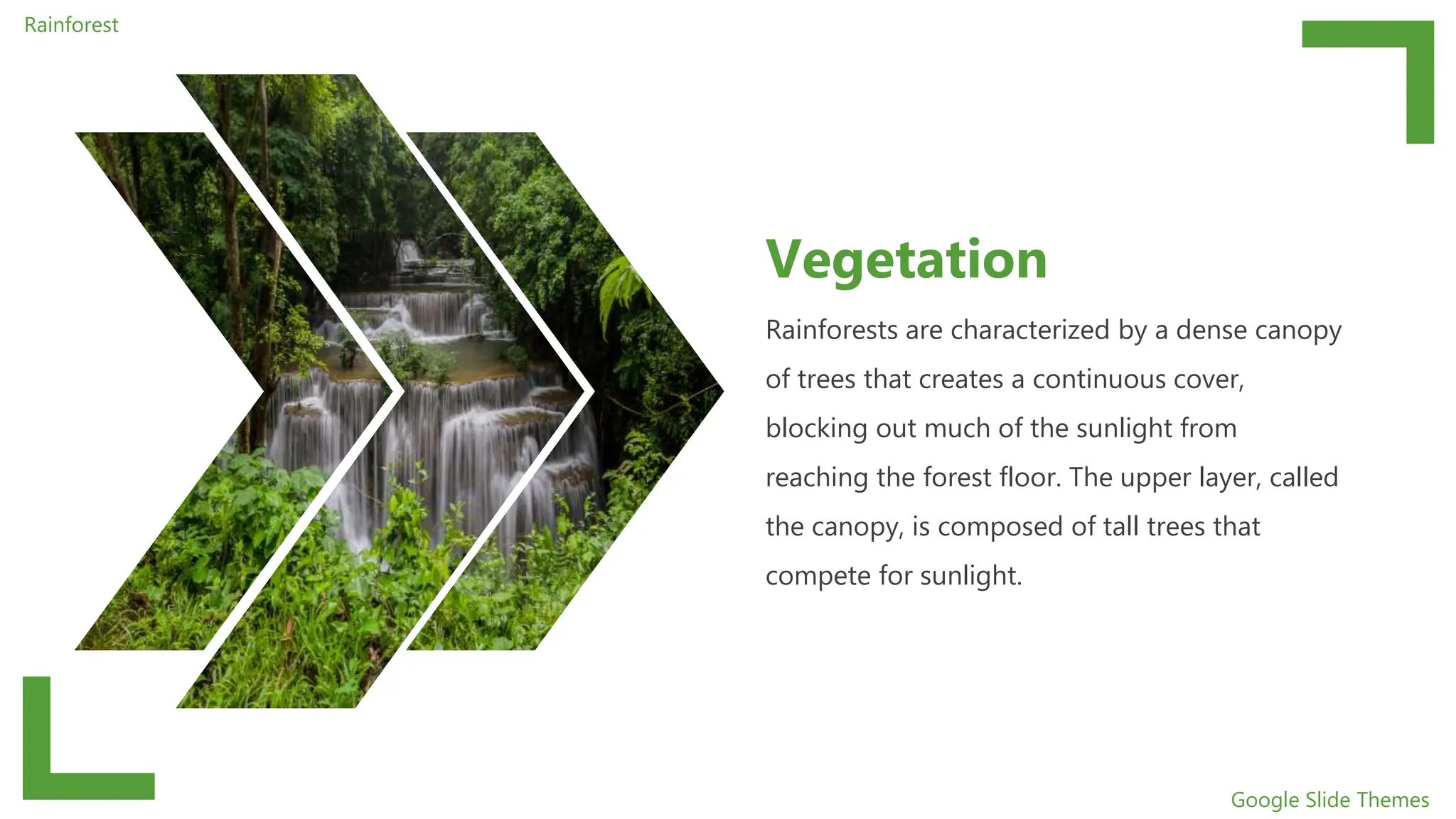 Slide_Egg-704609-Rainforest Google Slides Theme.pptx