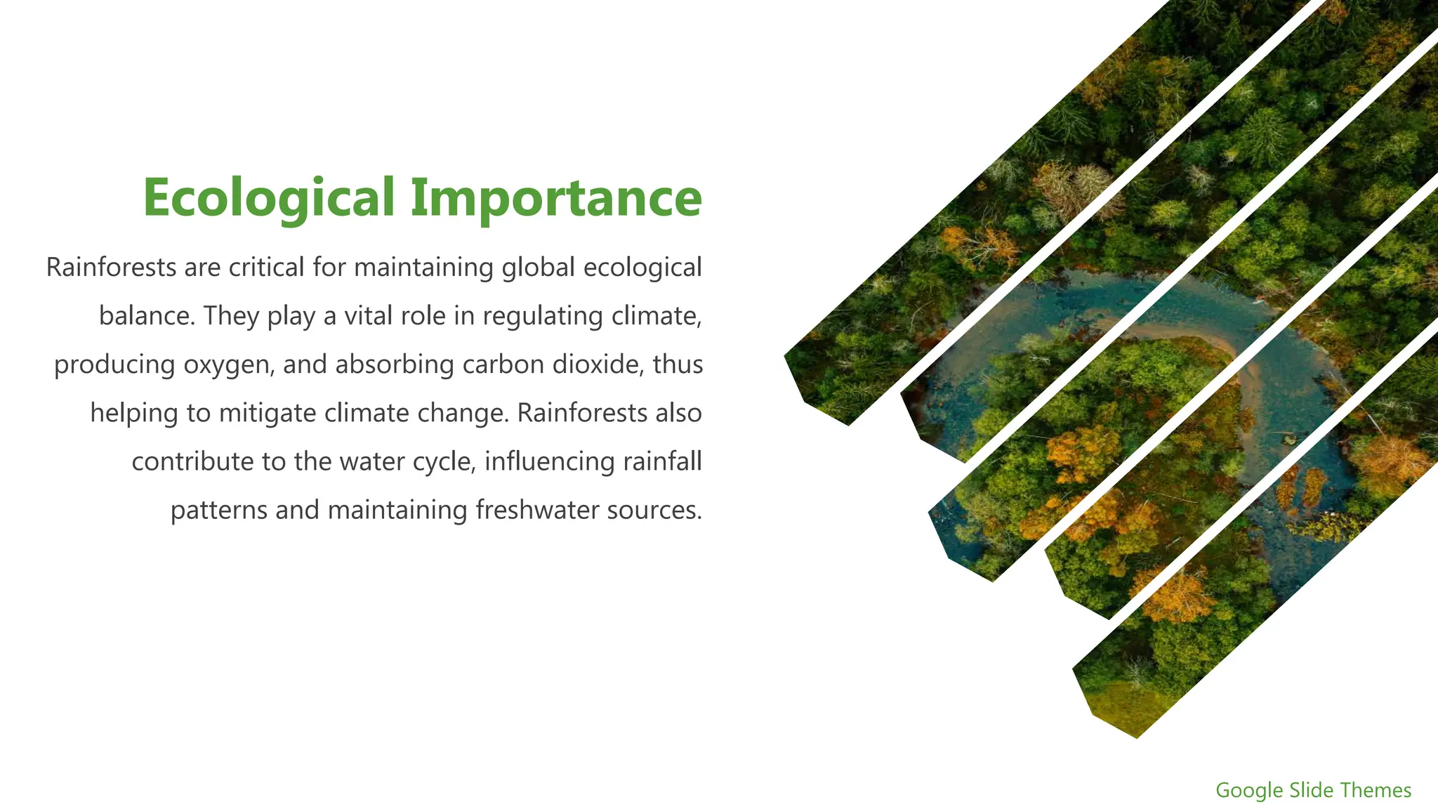 Slide_Egg-704609-Rainforest Google Slides Theme.pptx