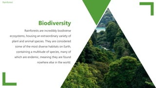 Slide_Egg-704609-Rainforest Google Slides Theme.pptx