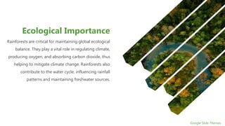 Slide_Egg-704609-Rainforest Google Slides Theme.pptx